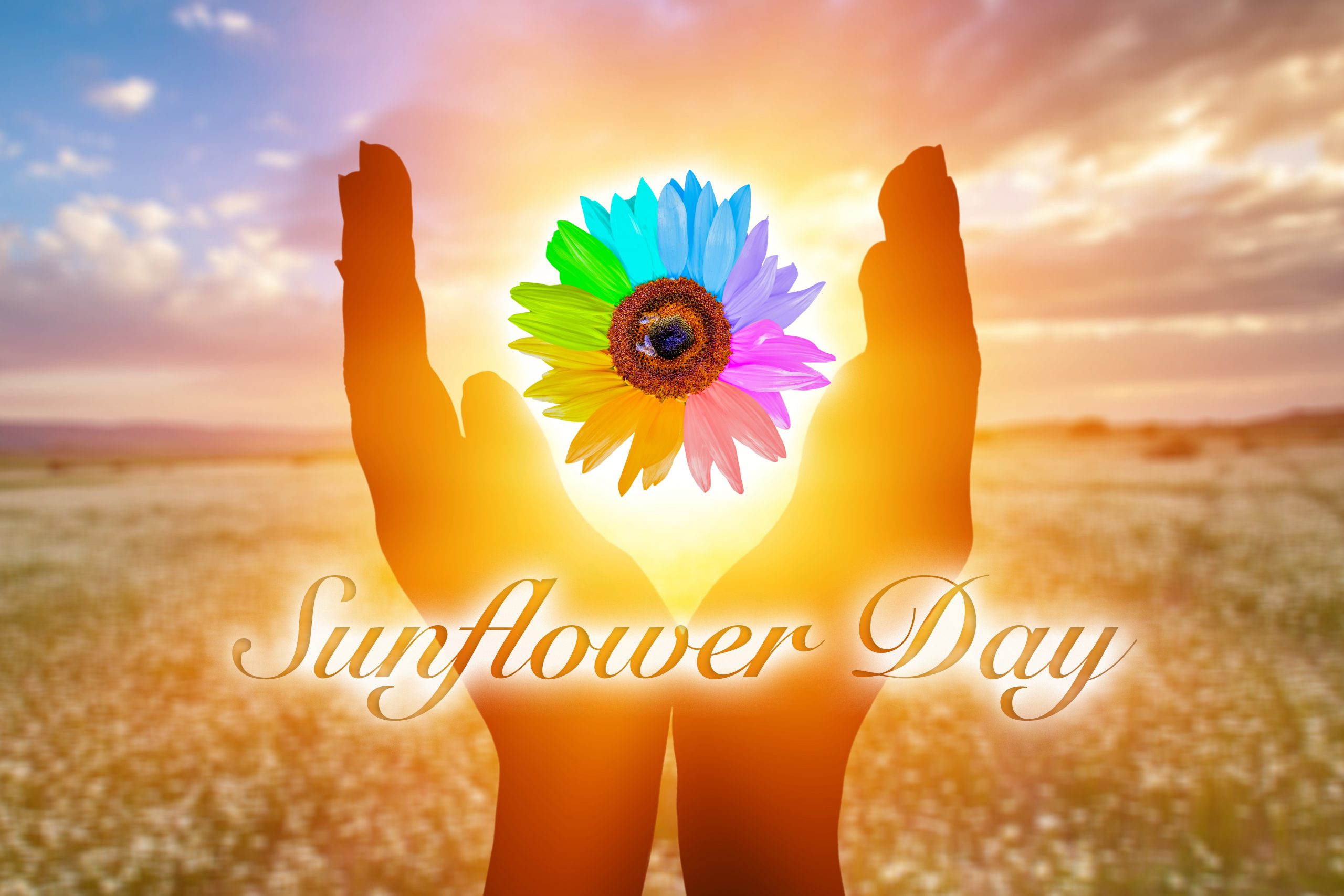 Sunflower Day